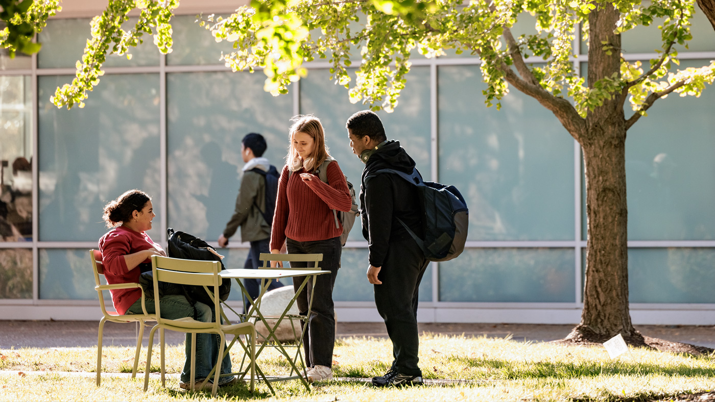 Programs & Initiatives | Office of the Provost | WashU